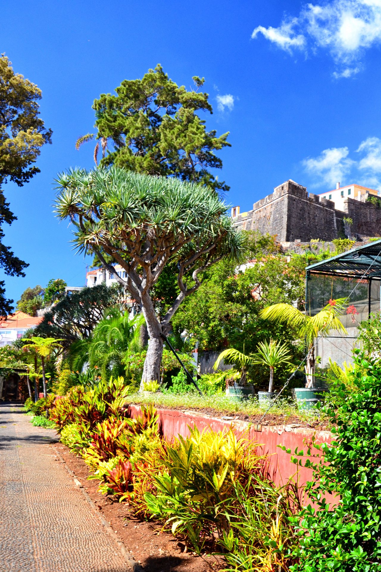 WHAT TO SEE IN FUNCHAL? - MADEIRA - Los Adventuros