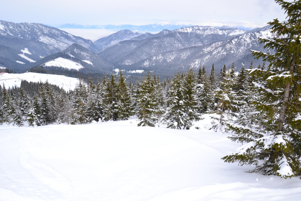 Jasna Ski Resort - Chopok - Skiing in Slovakia