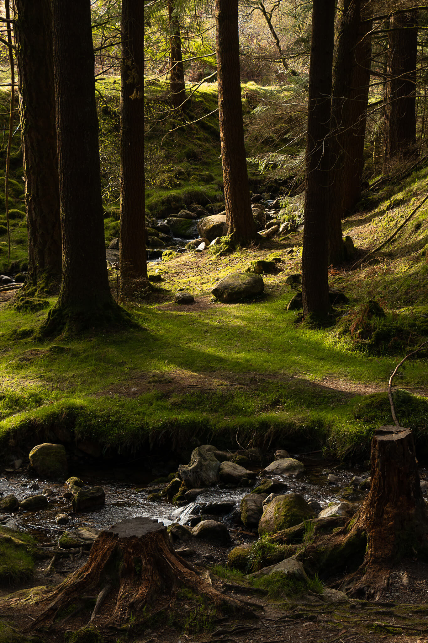 What to see in Wicklow Mountains? - Colours of Wicklow