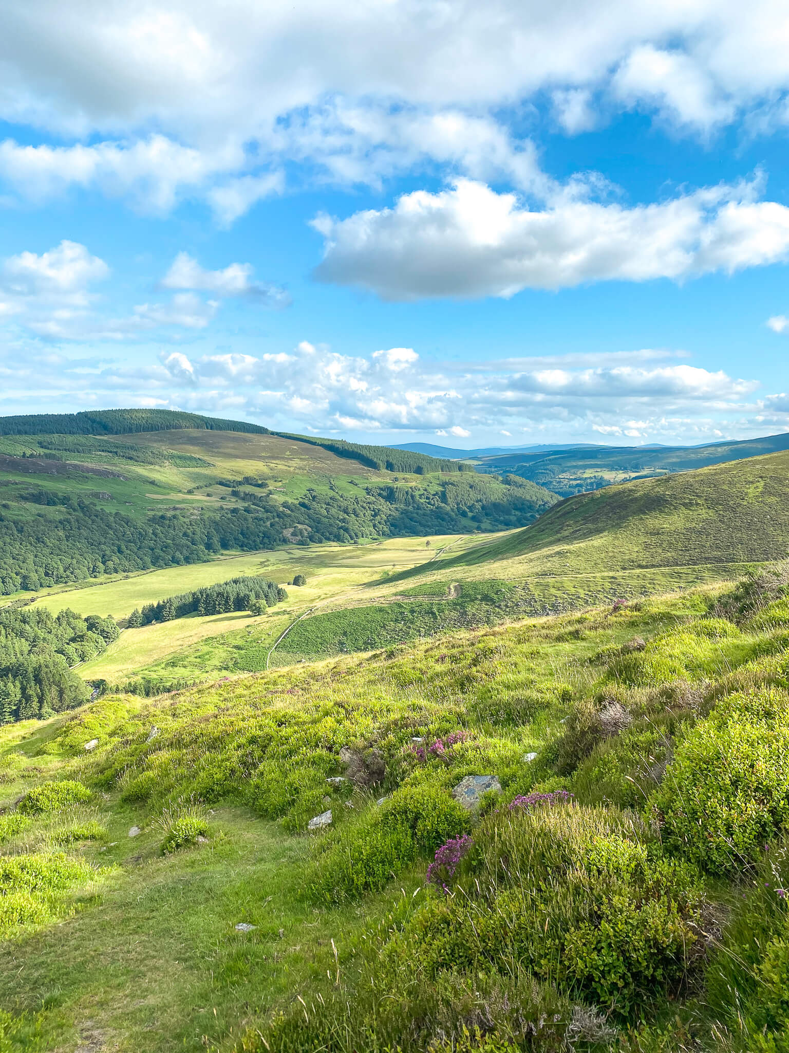 What to see in Wicklow Mountains? - Colours of Wicklow